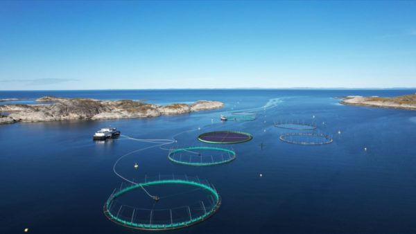 用于水产养殖的浮动太阳能技术 – pv magazine China